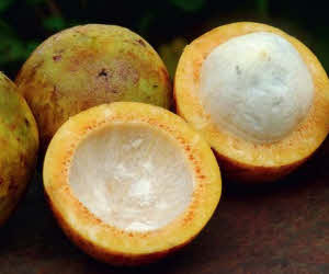 Cosmetische grondstoffen